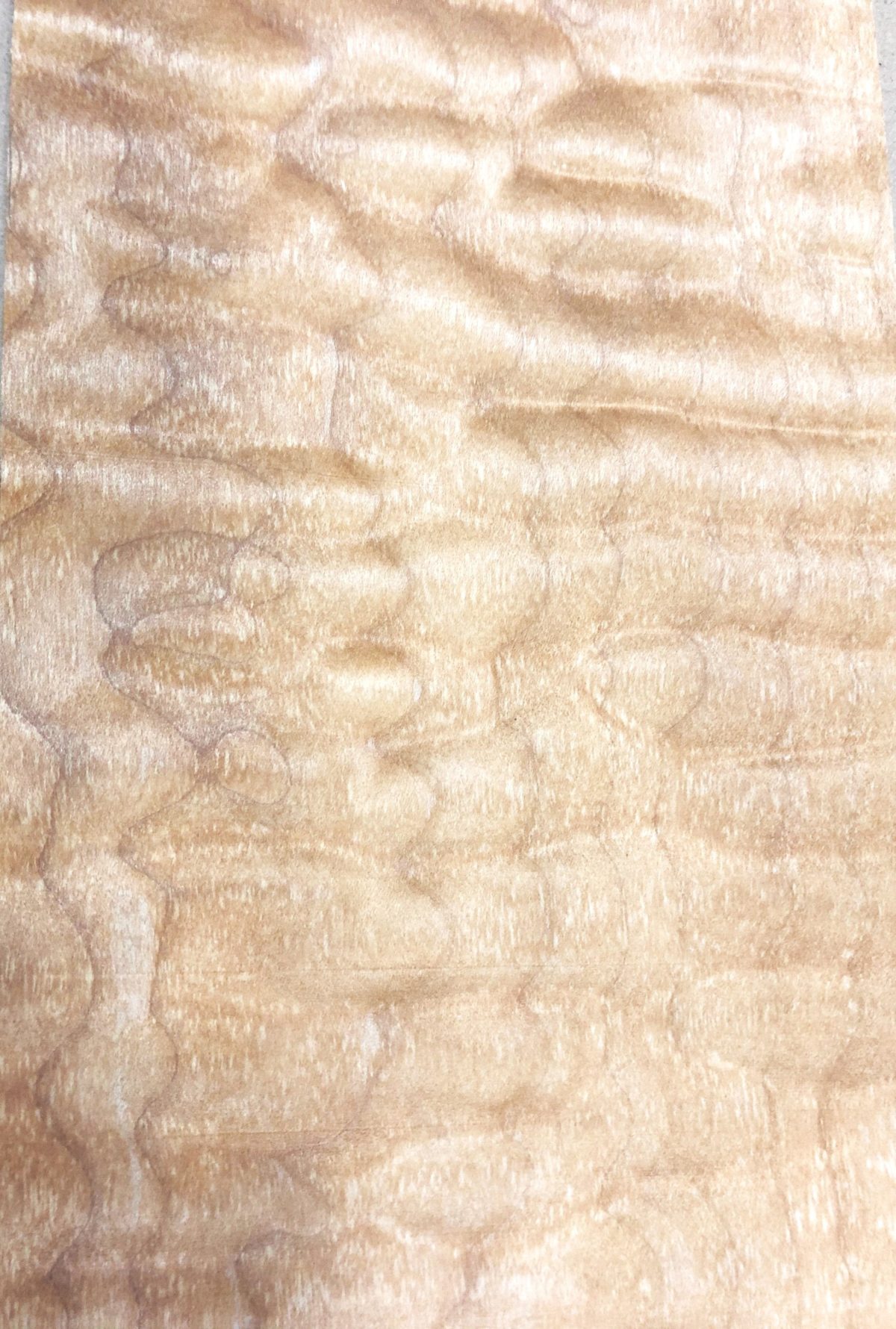 Maple - Standard Veneer - Exotic Woods