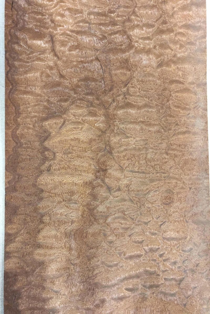Sapele - Standard Veneer - Exotic Woods